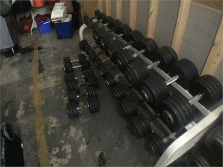 BIDERA Government Auctions - GPI Dumbbells With a Cybex Dumbbell Rack